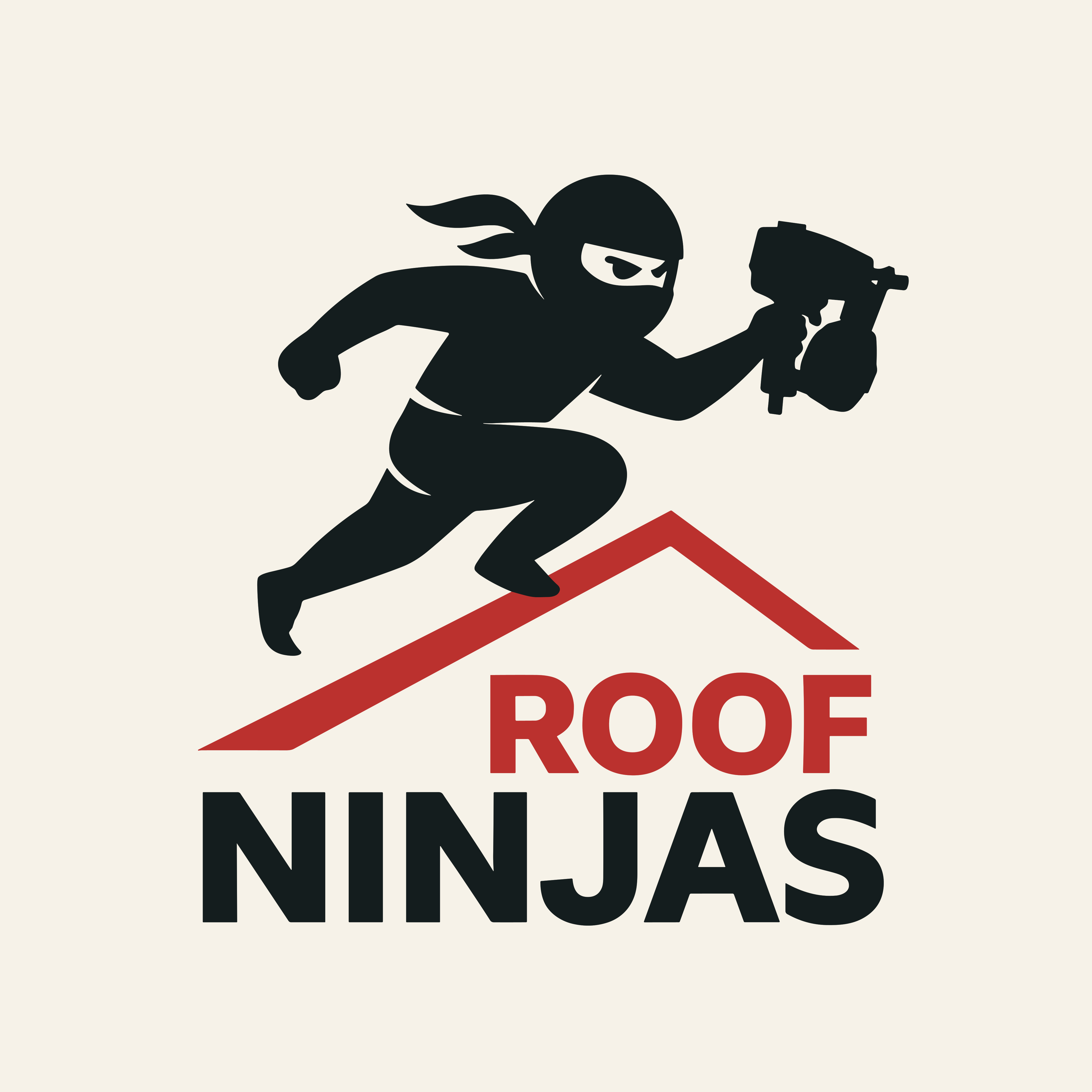 Roof Ninjas